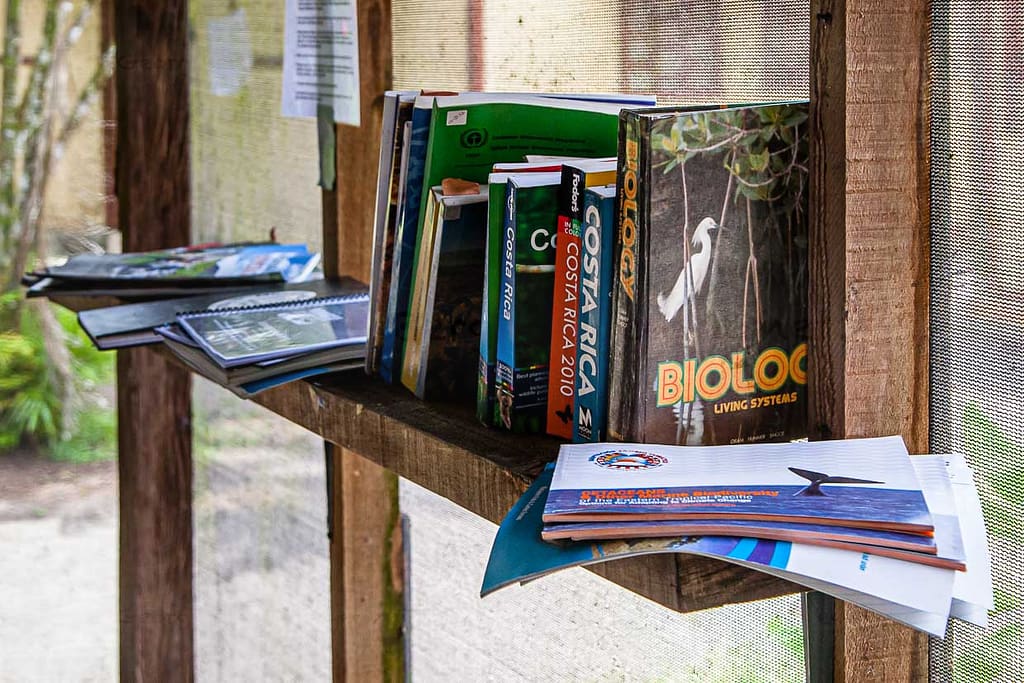 Expedition to giant leatherback turtles - Tellerrand-Stories in English