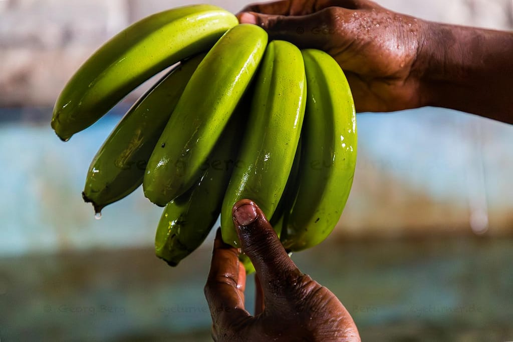Bananen aus Malawi - Tellerrand-Stories